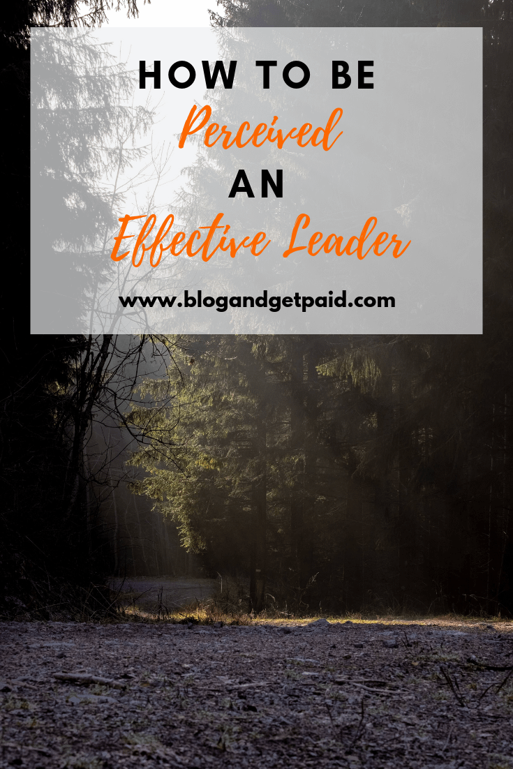 Be Perceived An Effective Leader Using These Strategies -Blog & Get Paid