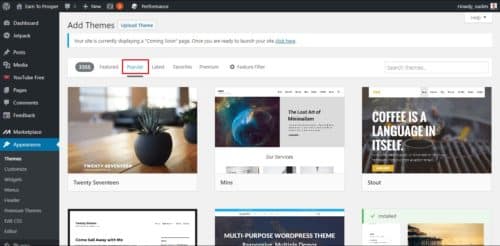 From Zero To Theme (Choosing A WordPress Theme) In 30 Minutes