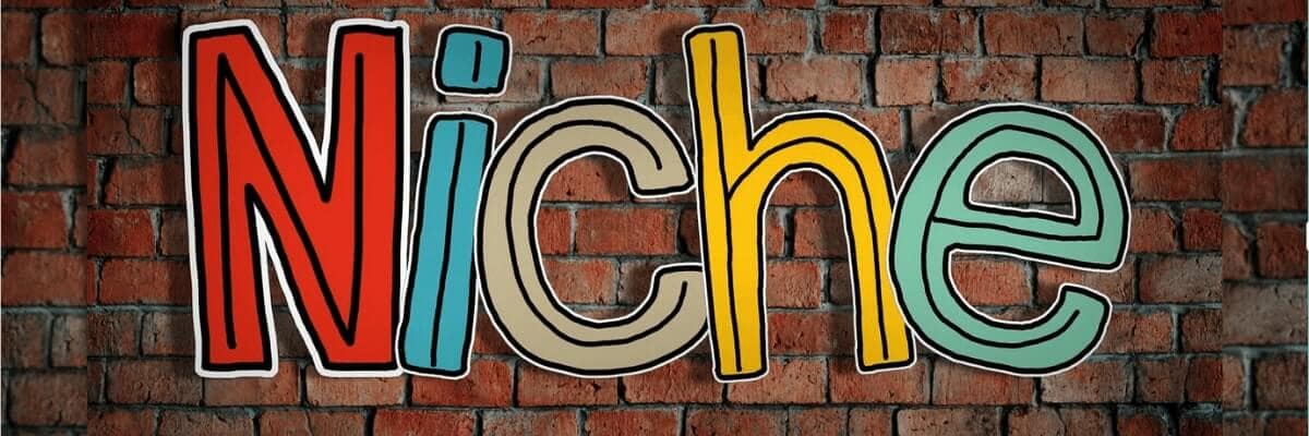 Choosing Your Blogging Niche In 30 Minutes - Blog & Get Paid